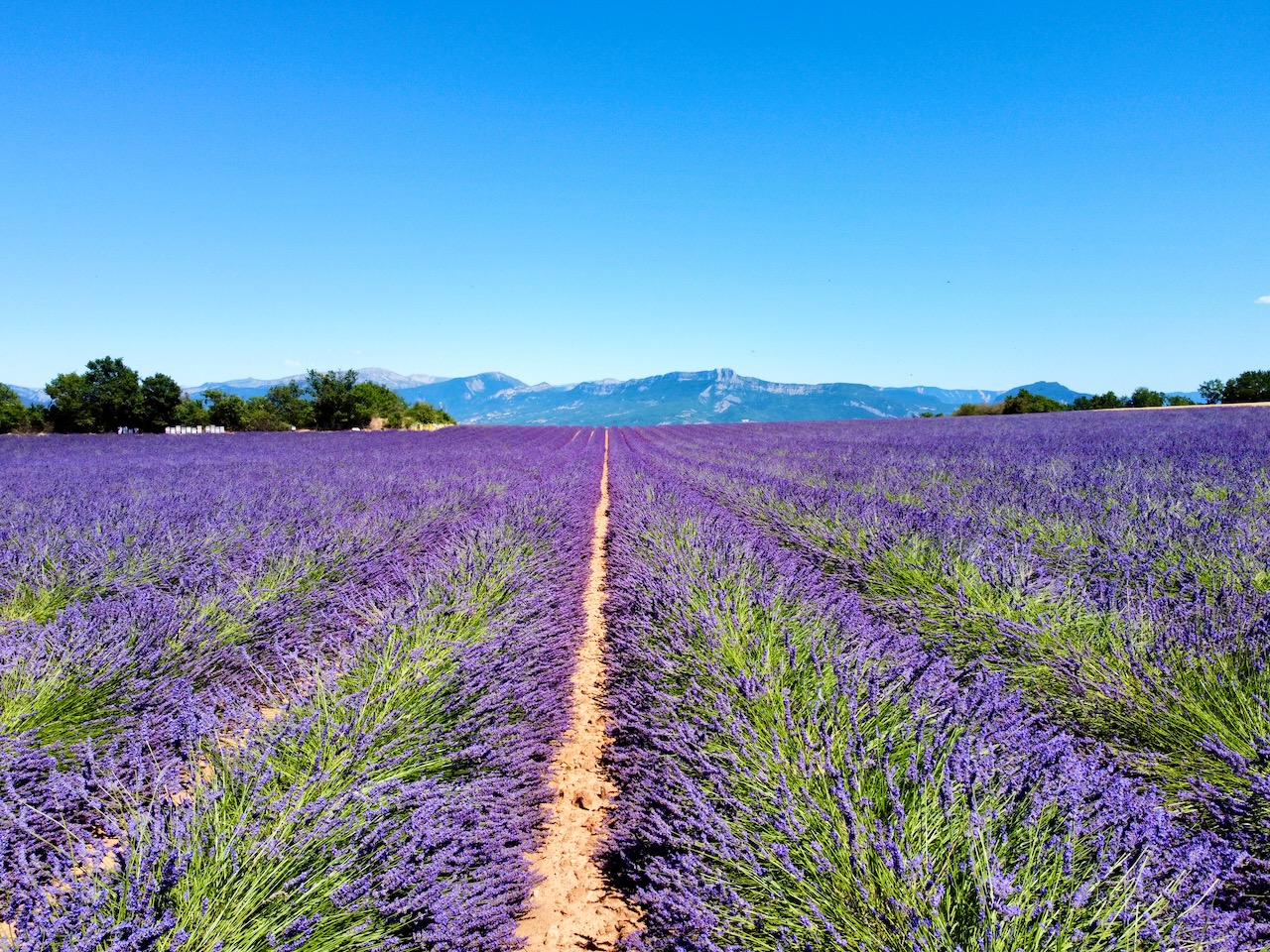 2022 OZONE CHABRE OPEN | Ozone Paragliders